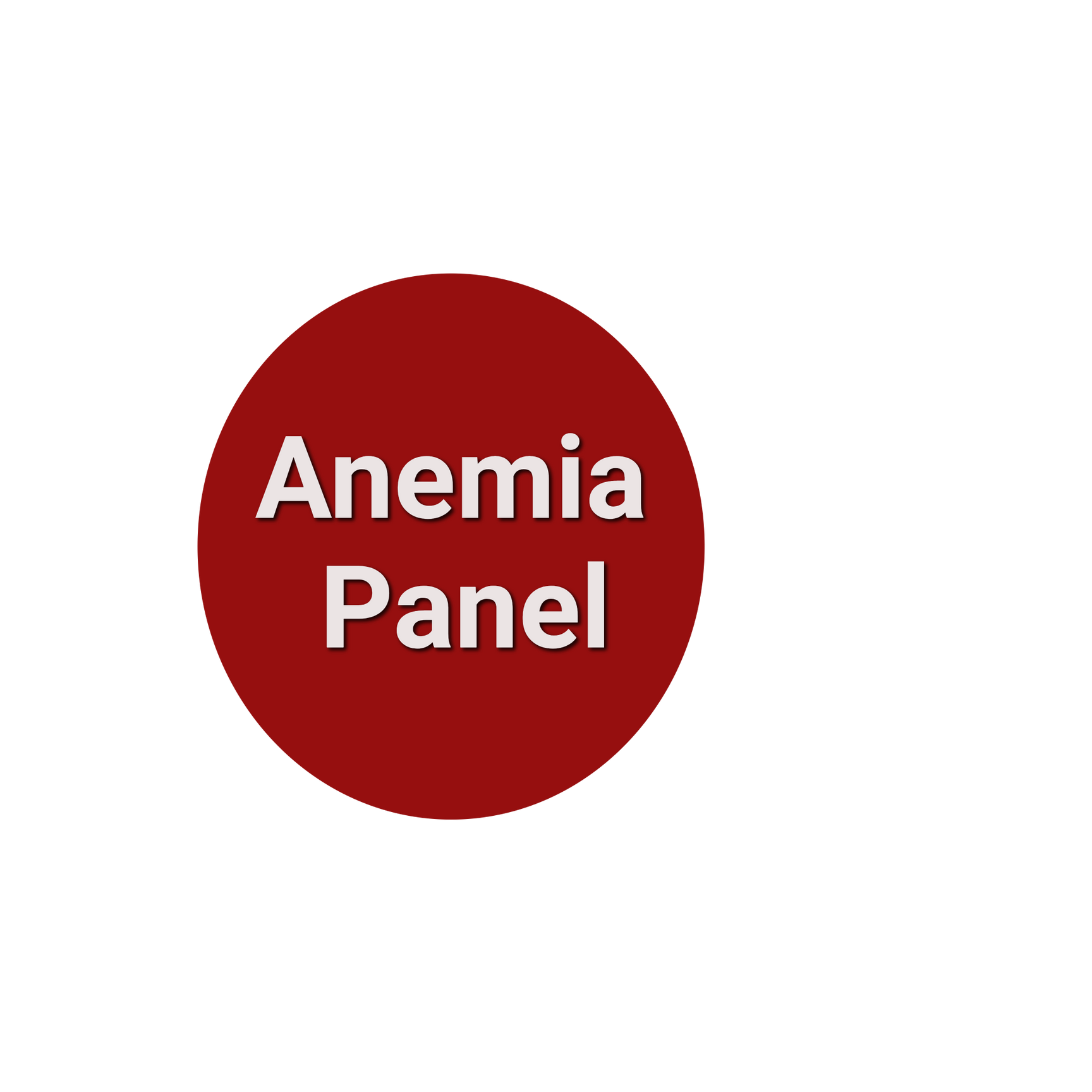 Anemia Panel – LabReqs.com