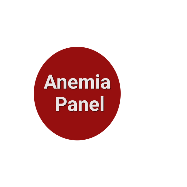 Anemia Panel – LabReqs.com
