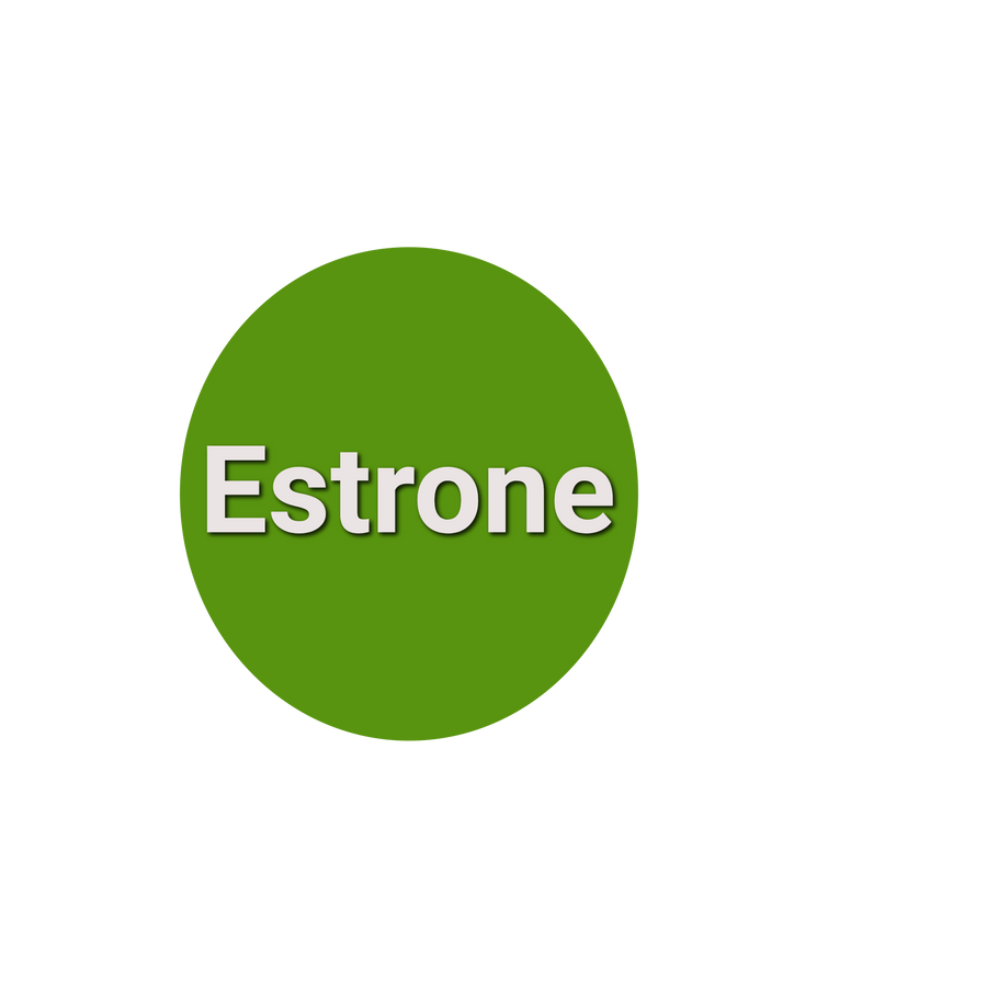 Estrone – LabReqs.com