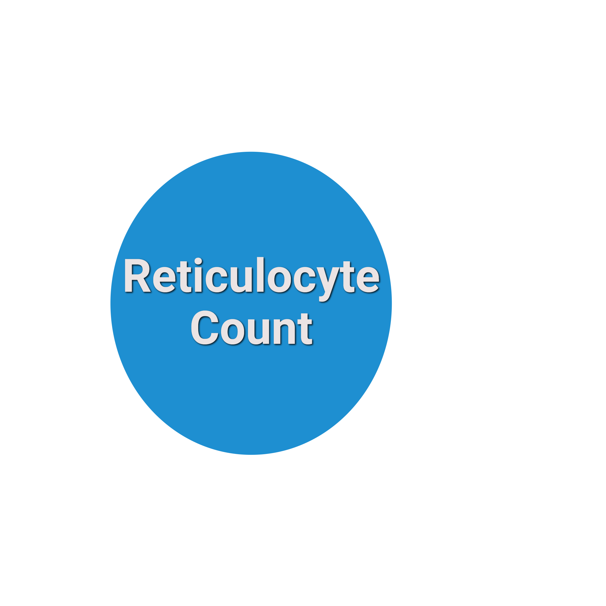 Reticulocyte Count – LabReqs.com