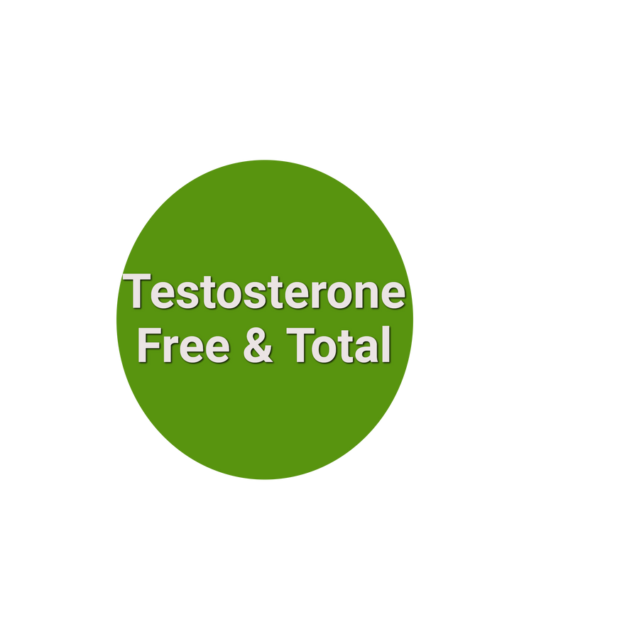 Testosterone, Free and Total – LabReqs.com