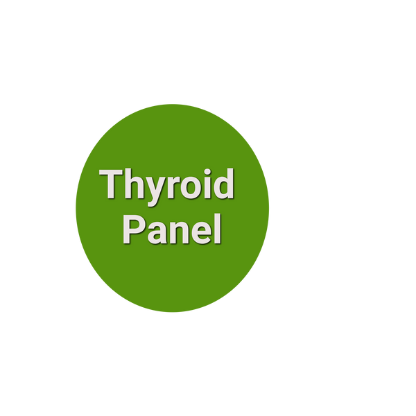 Thyroid Panel – LabReqs.com