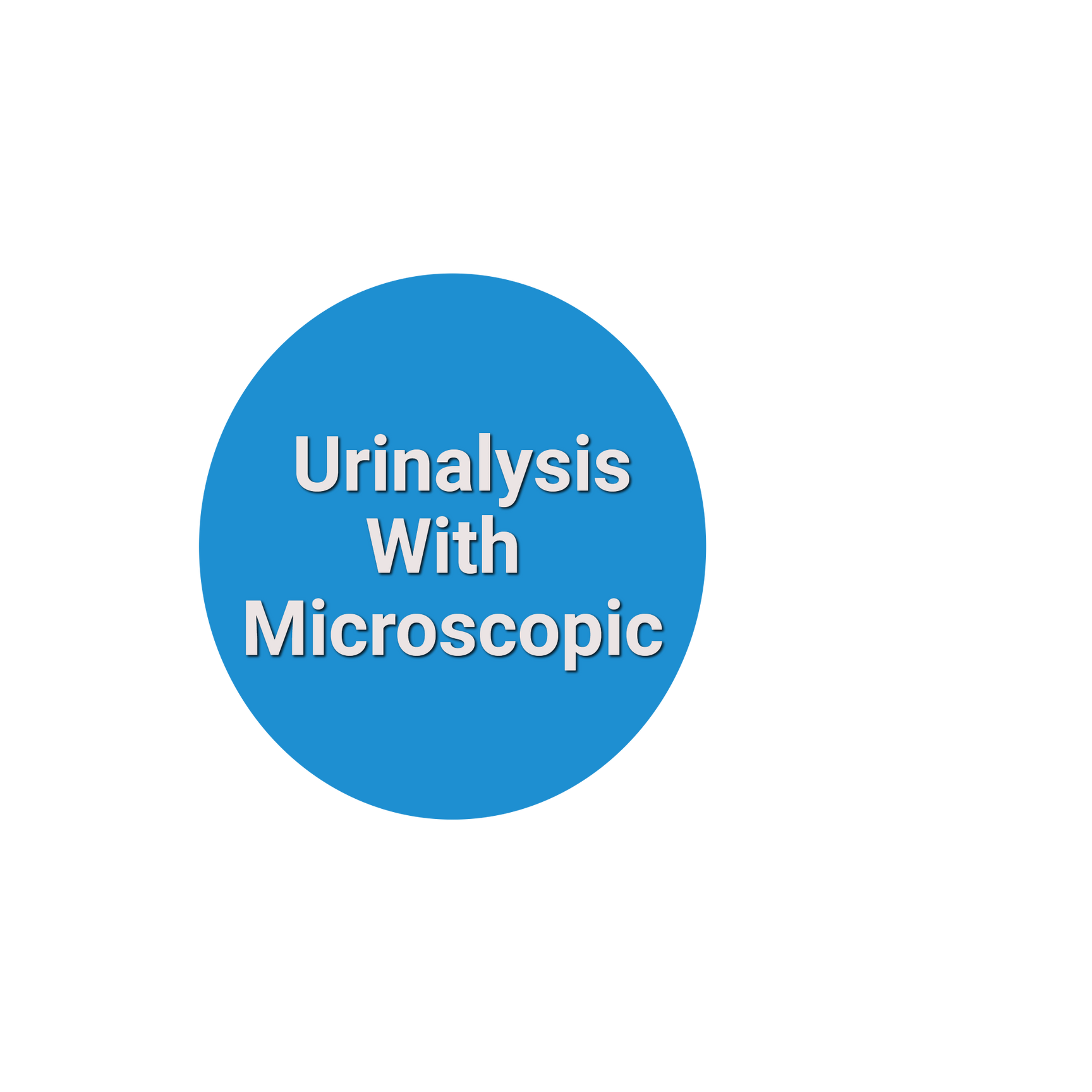 Urinalysis with Microscopic Exam – LabReqs.com