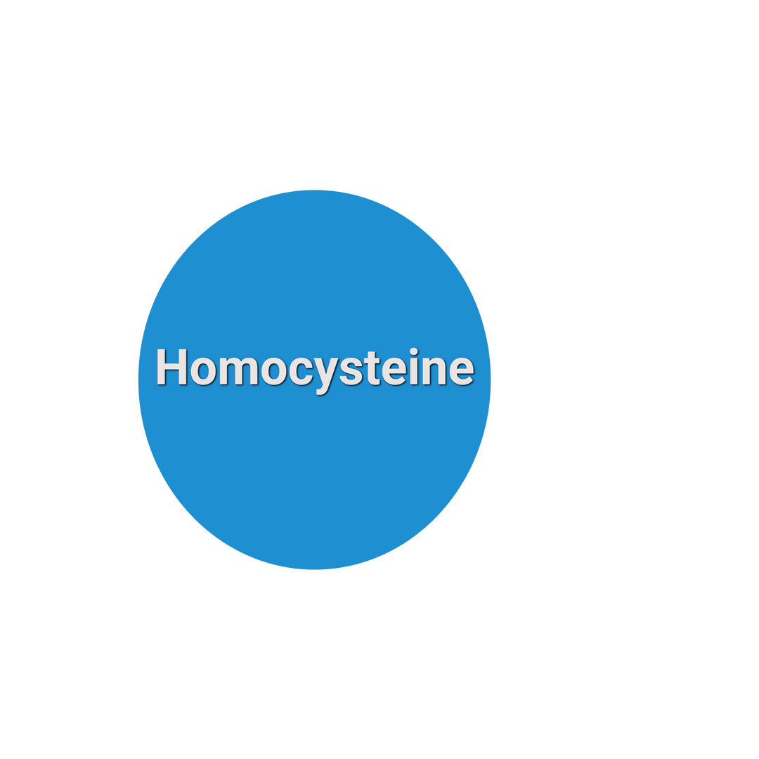 Homocysteine Test – LabReqs.com
