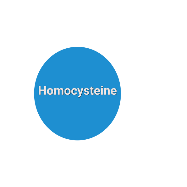 Homocysteine Test – LabReqs.com
