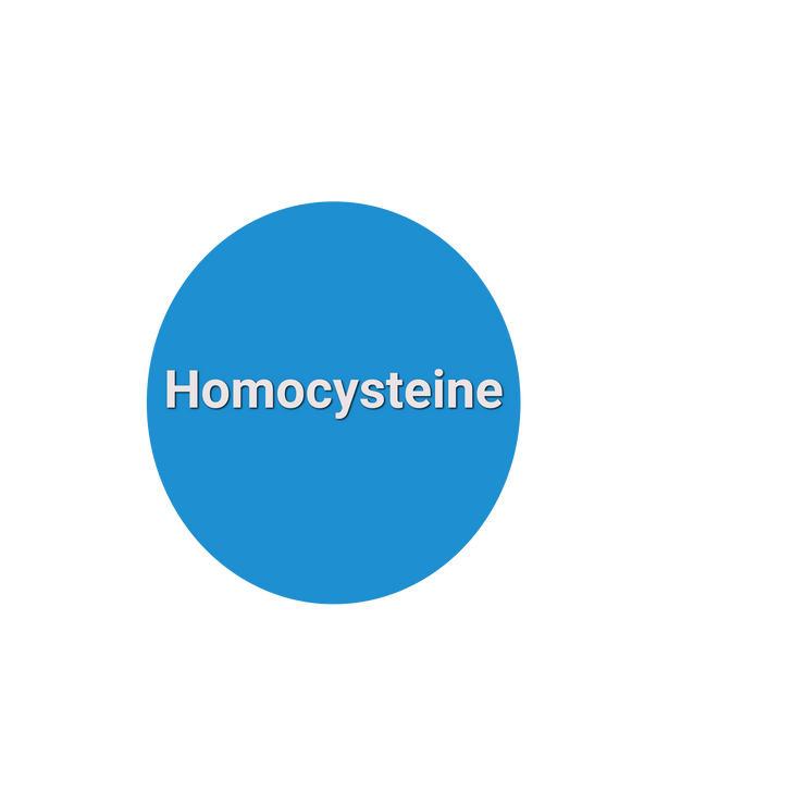 Homocysteine Test – LabReqs.com