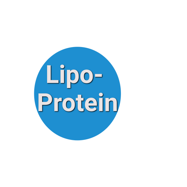 Lipoprotein – LabReqs.com